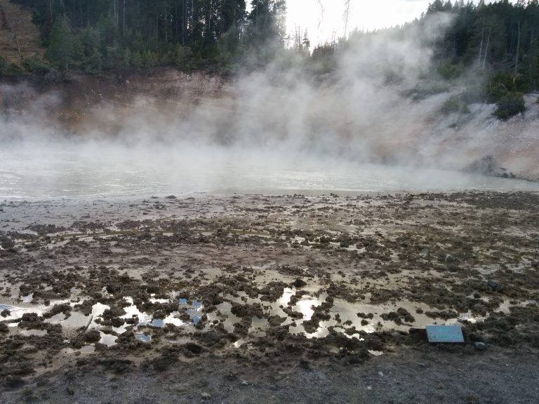 How To Enter Yellowstone On Your First Day