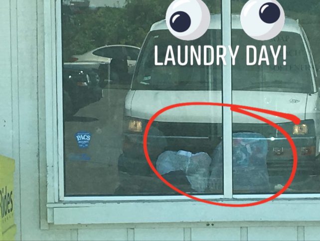 Blueberry Patch Campground |Backbone Horse Camp | National Forest RV ...